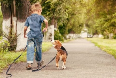 6 kinderfreundliche Hunderassen - Deine Tiere